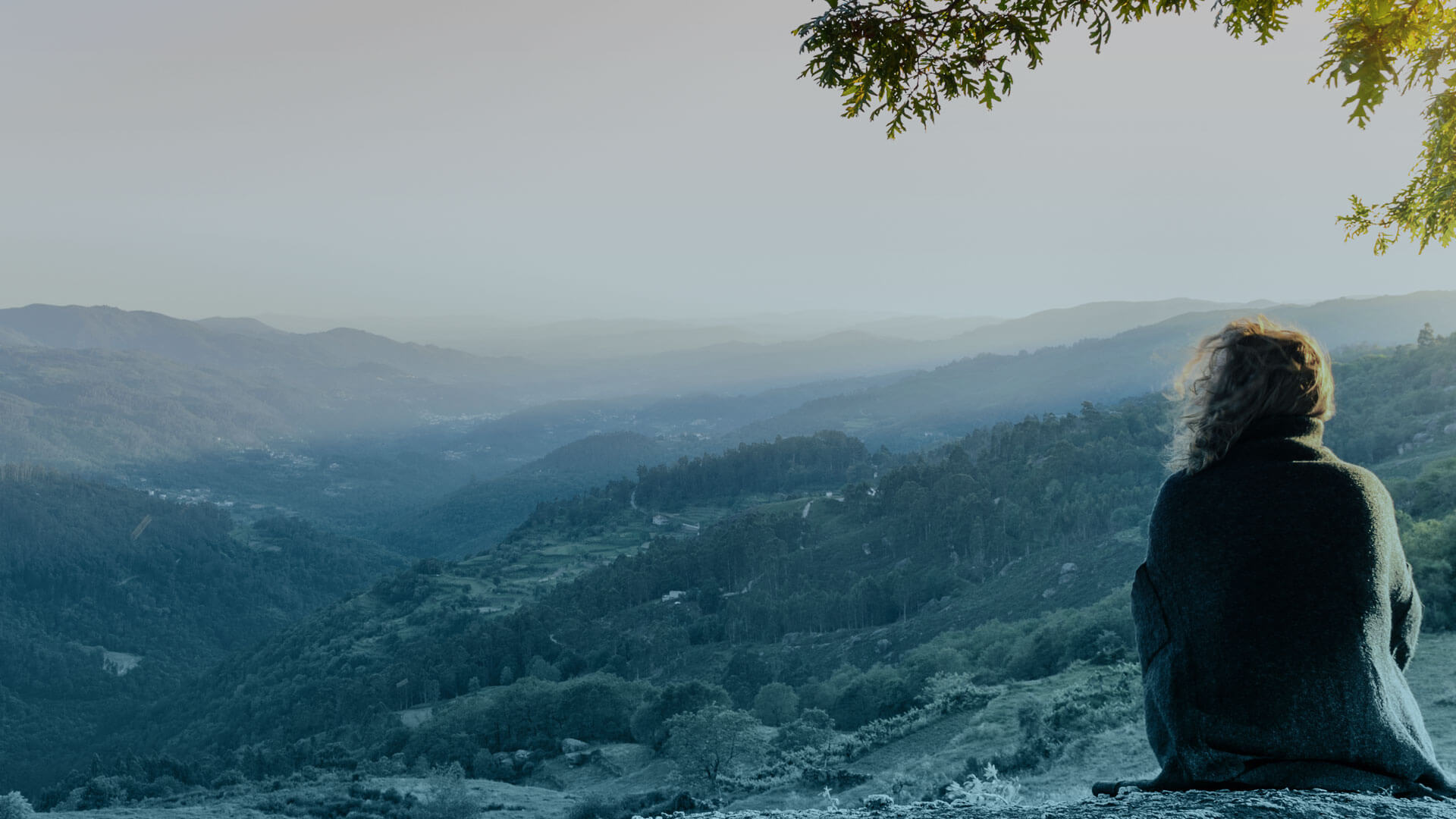 Welcome To Twelfth Step Ministry, Inc. - Twelfth Step Ministry